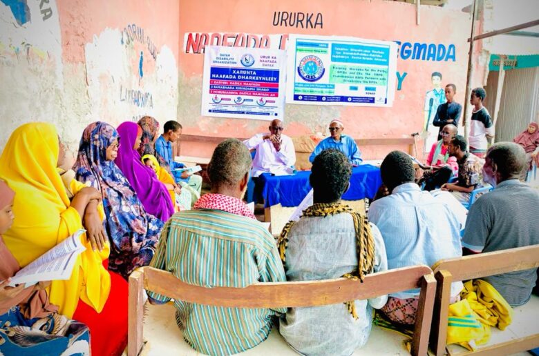 DDO – SOMALI DISABILITY NETWORK